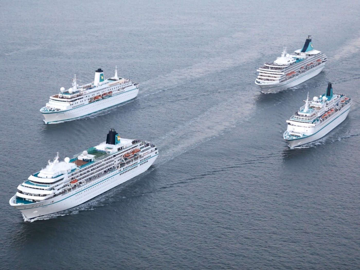 Overview on our fleets 🚢 Cruise Lines and jobs at sea chefs
